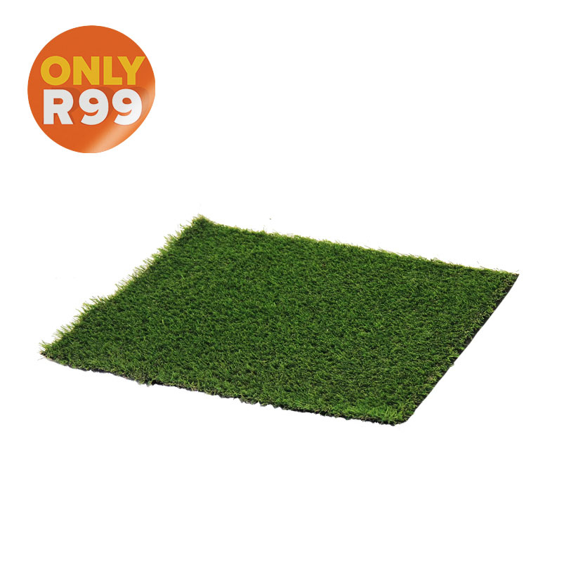 75% off on Mrs Pooch Puppy Training Grass Patch | OneDayOnly