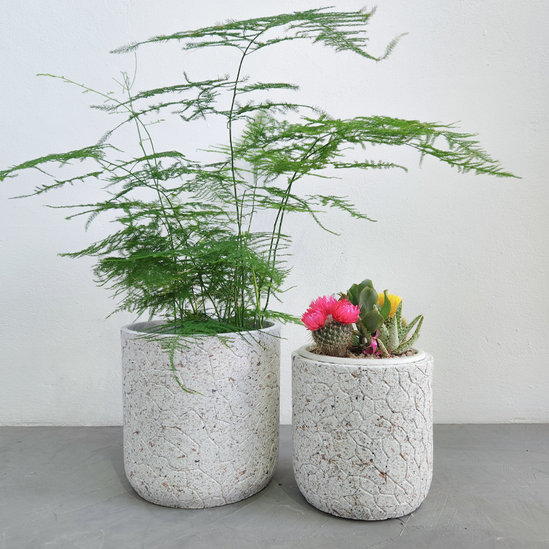 34% off on Potanical 2x Karoo Plant Pots | OneDayOnly