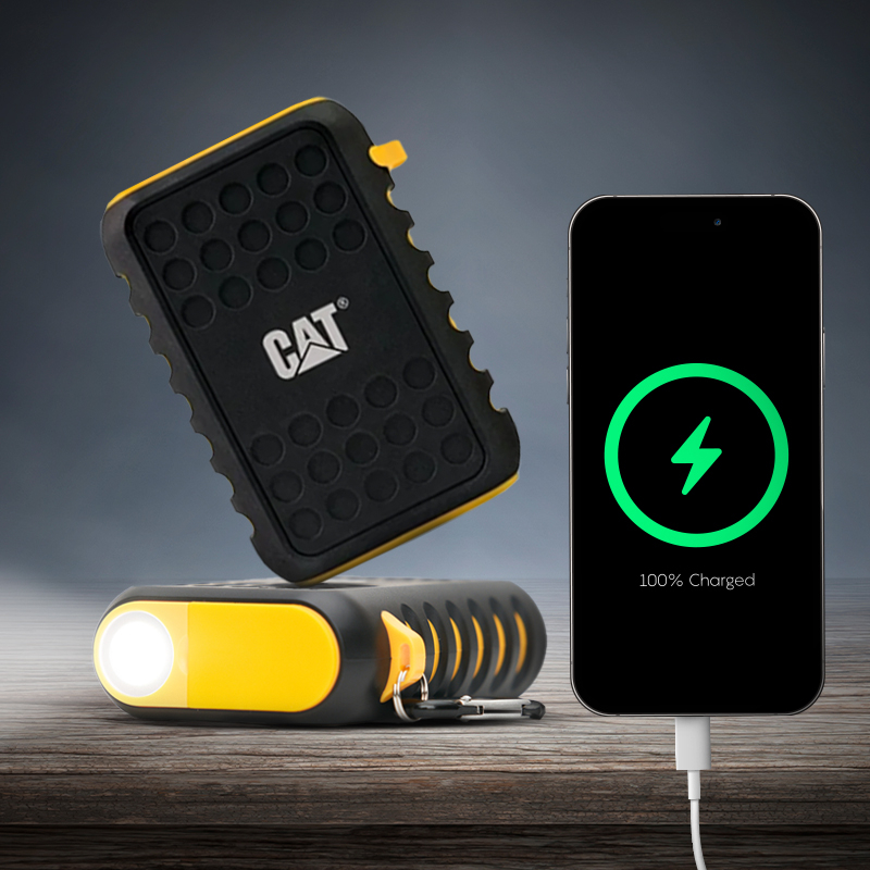 80% off on 10000mAh Powerbank with Flashlight | OneDayOnly