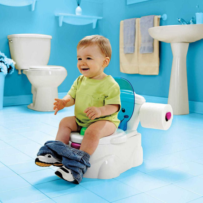 28% off on Fisher-Price Cheer For Me Potty | OneDayOnly