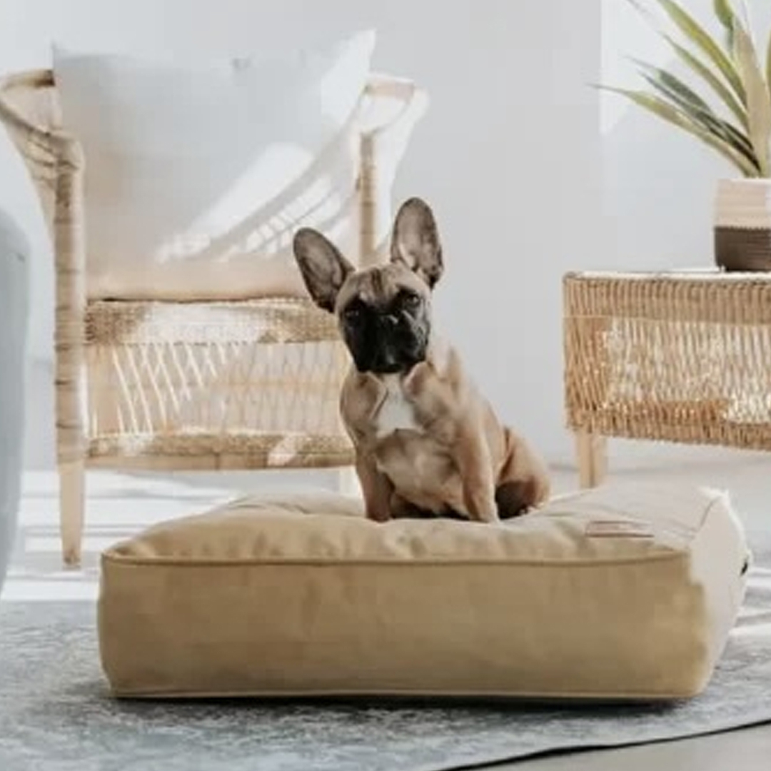 54% off on PETS FUREVER Pet Snug Pillow | OneDayOnly
