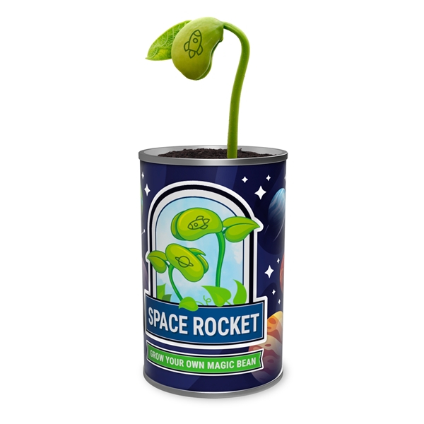 42% off on Worded Magic Bean | OneDayOnly