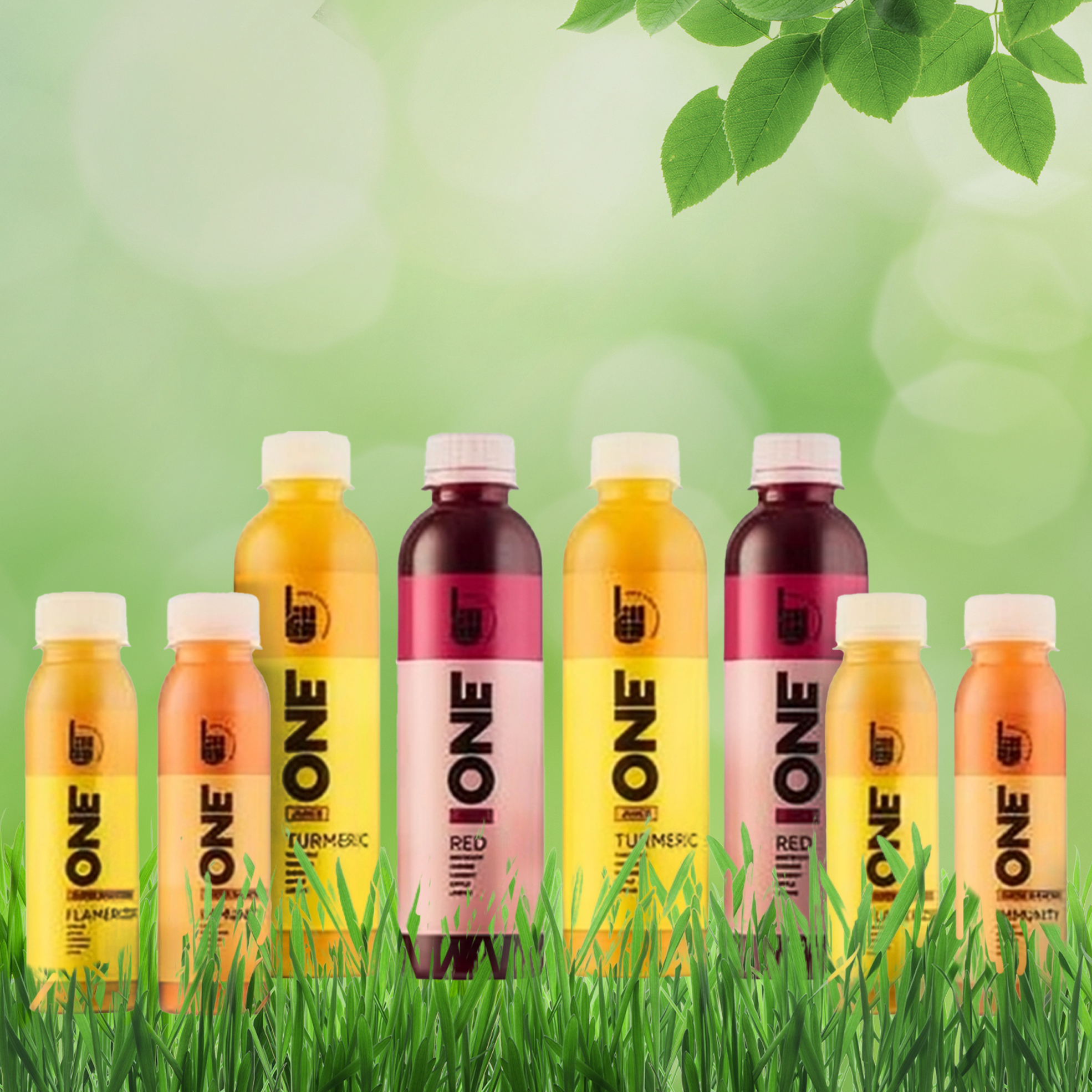 29% off on One-Juice 36x Immune Boost Juices | OneDayOnly