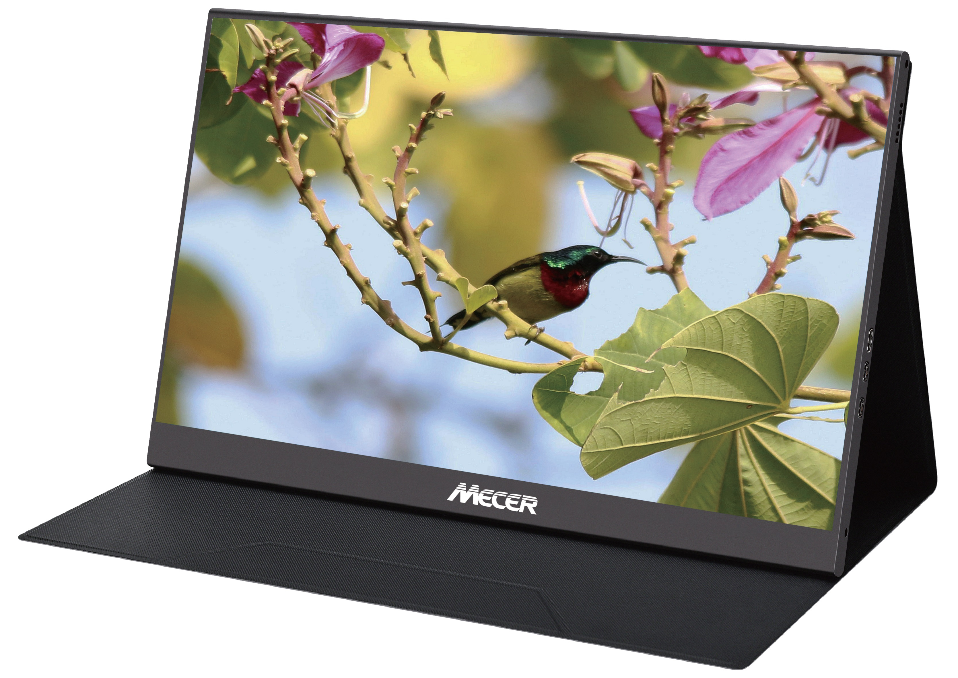 21% off on Mecer 15.6" FHD Portable Monitor | OneDayOnly