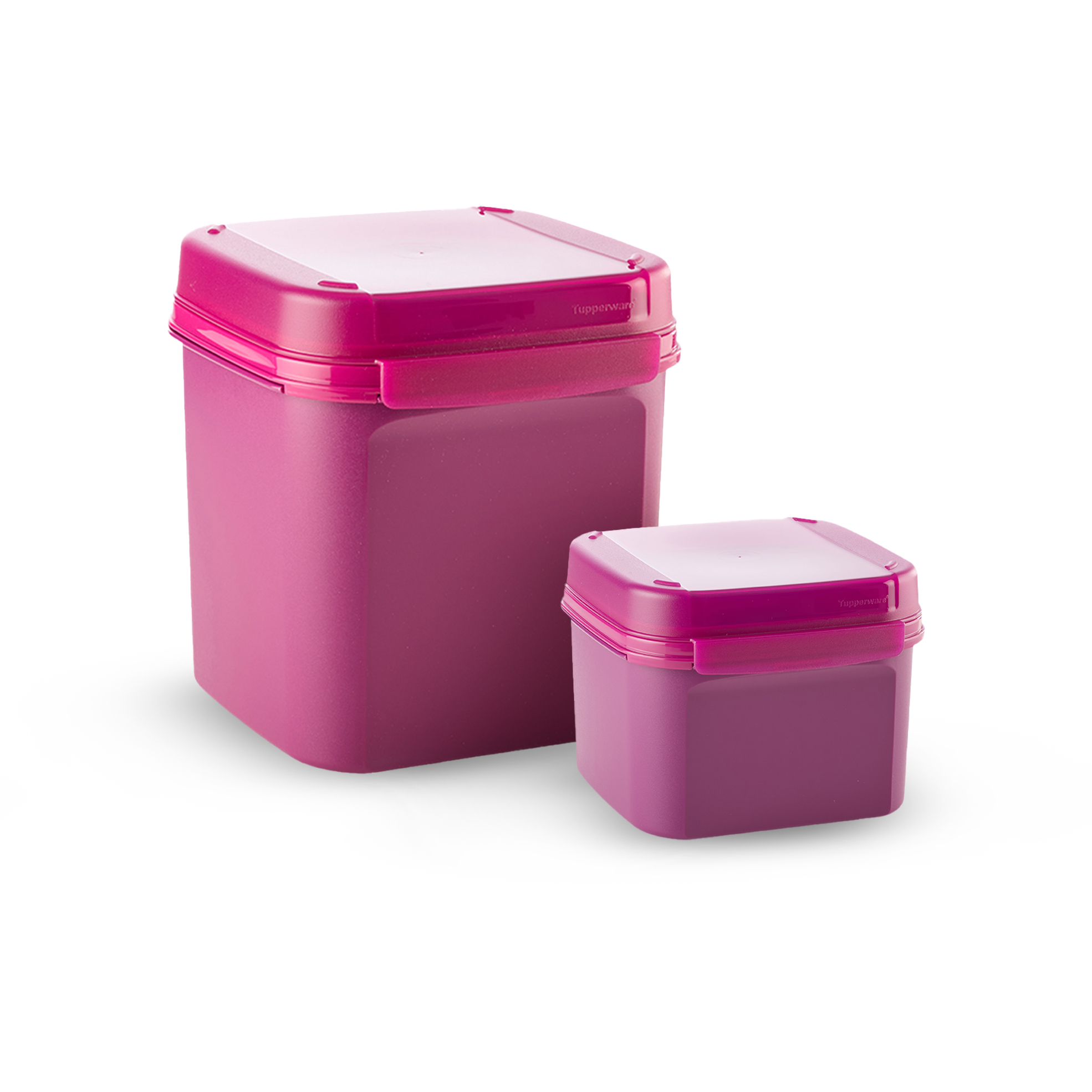 48% off on Tupperware Signature Line Container | OneDayOnly