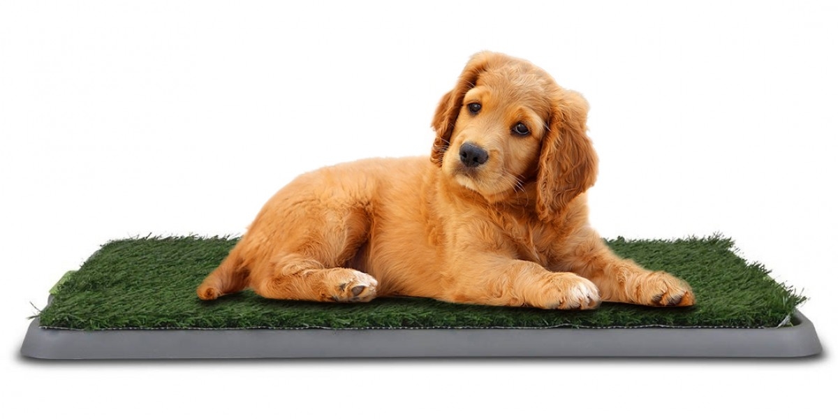 34% off on Pet Pals Dog Artificial Potty Patch | OneDayOnly