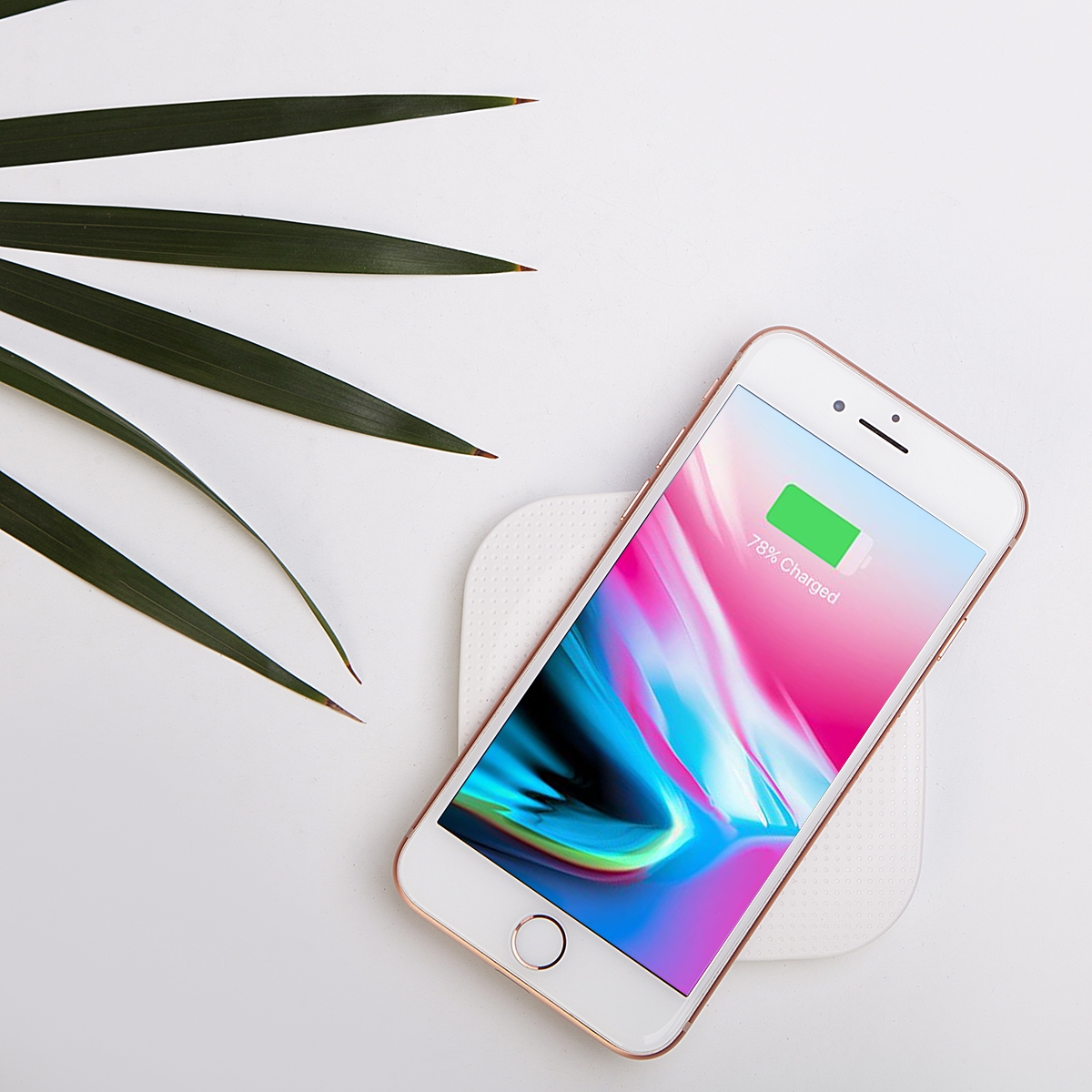 60% off on PTech Wireless Qi-Compatible Charger | OneDayOnly